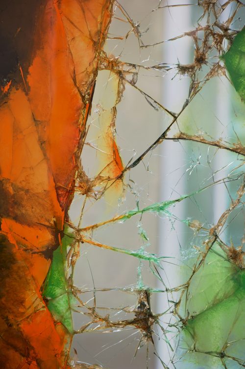 Forever Fall - Yorgos Studio